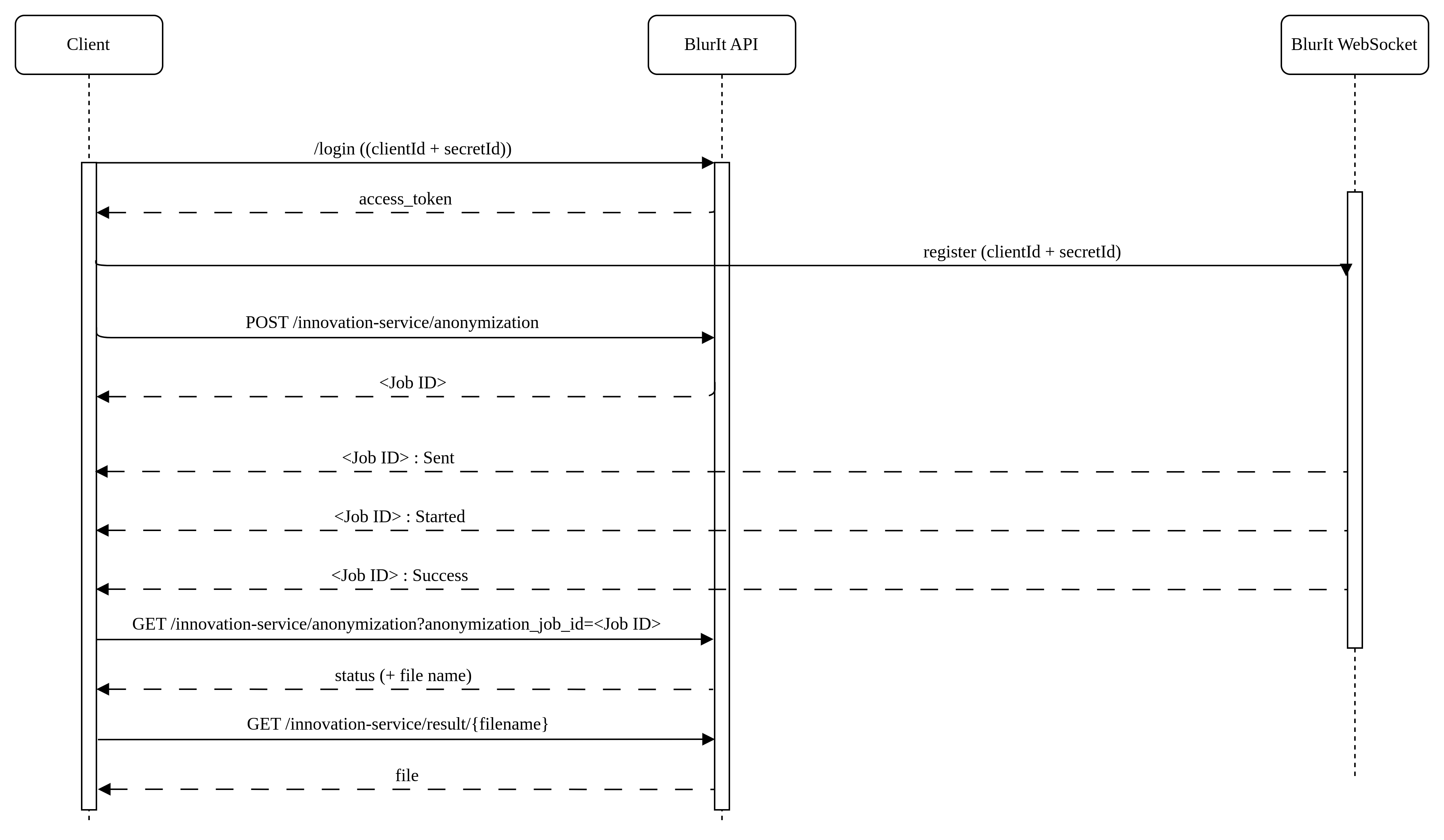 BlurIt Anonymization API