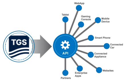 TGS 4C Offshore API Documentation