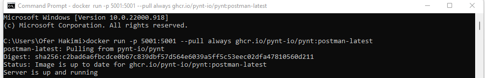 Pynt | Qlarium's Public Workspace | Postman API Network