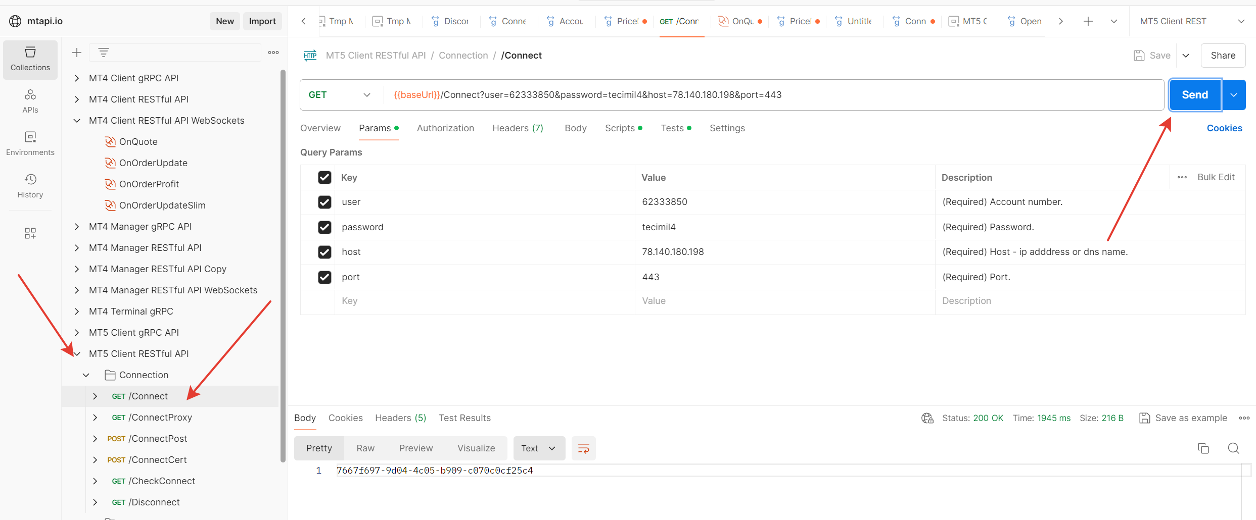 MT5 Client RESTful API WebSockets | Get Started | Postman API Network